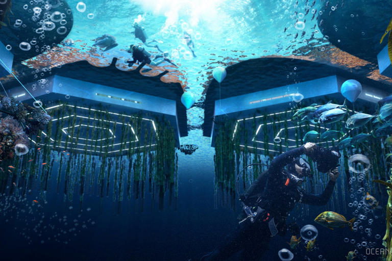 Silicon Valley wanted to build floating libertarian paradises on the ...