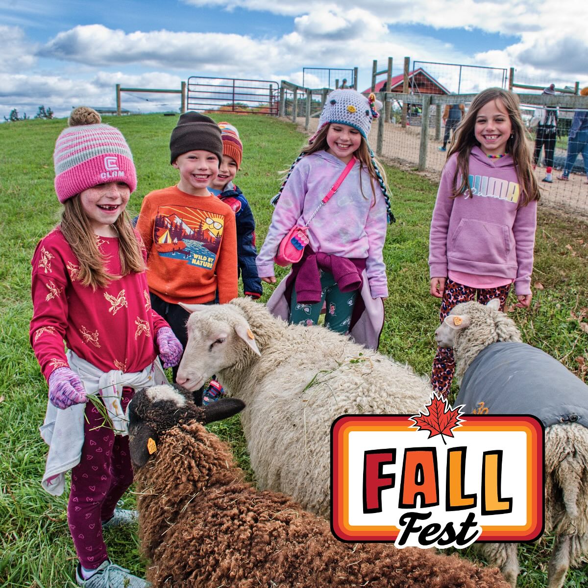 Fall festivals in Minnesota