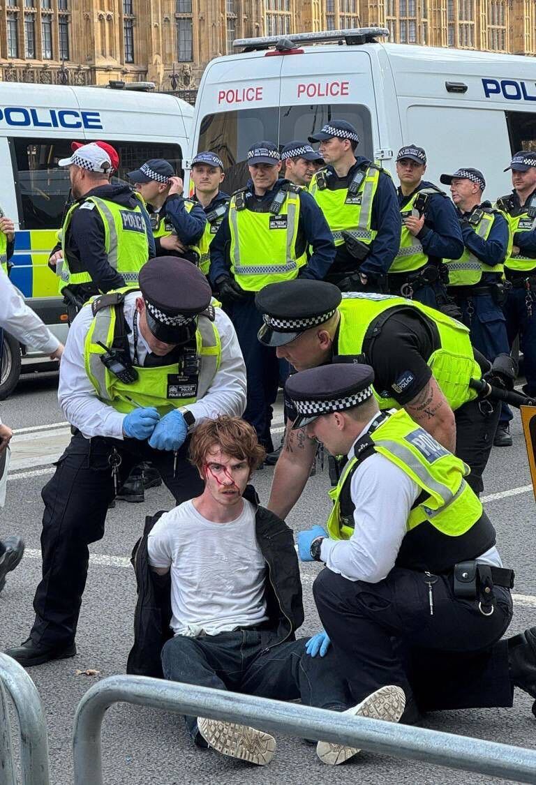 At least 425 arrests as police drag away Palestine Action protesters in ...