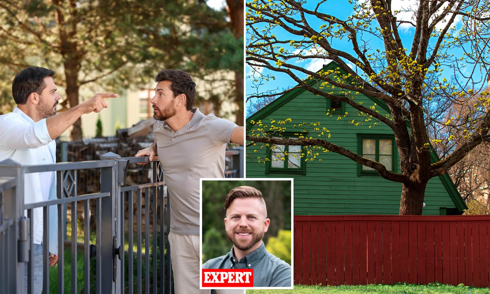 Sick of your neighbor's tree hanging in your backyard - stark warning ...