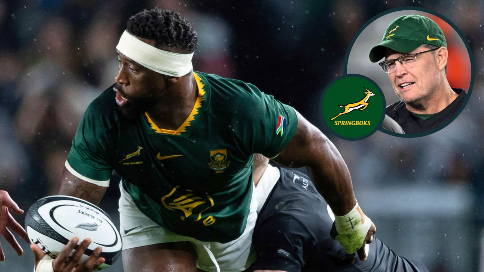 Springboks: Rassie Erasmus rues ‘stupid errors’ against All Blacks and ...