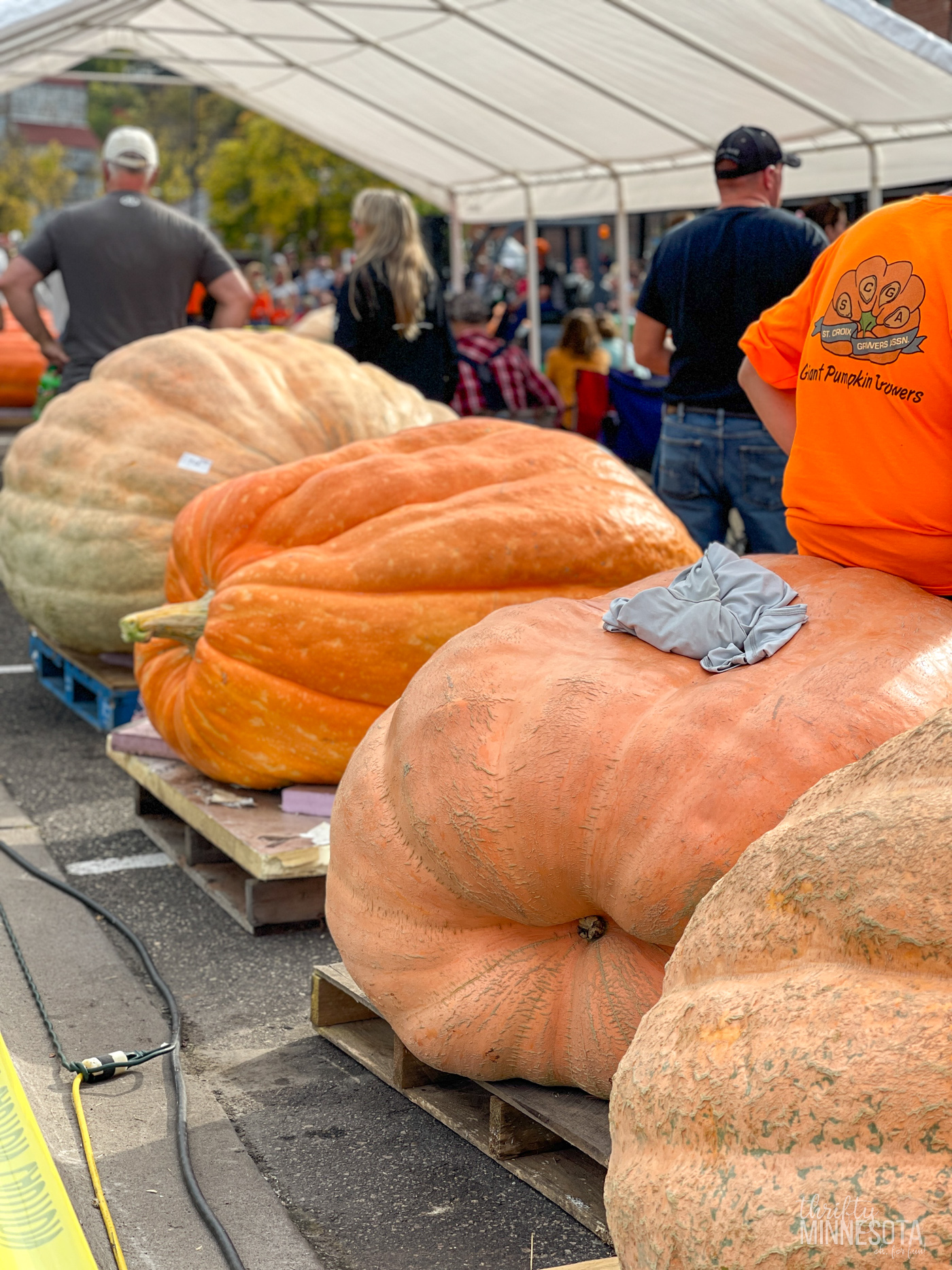 Fall festivals in Minnesota