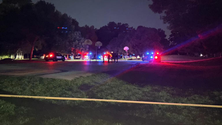 GRPD: Man shot and killed at Grand Rapids park Saturday