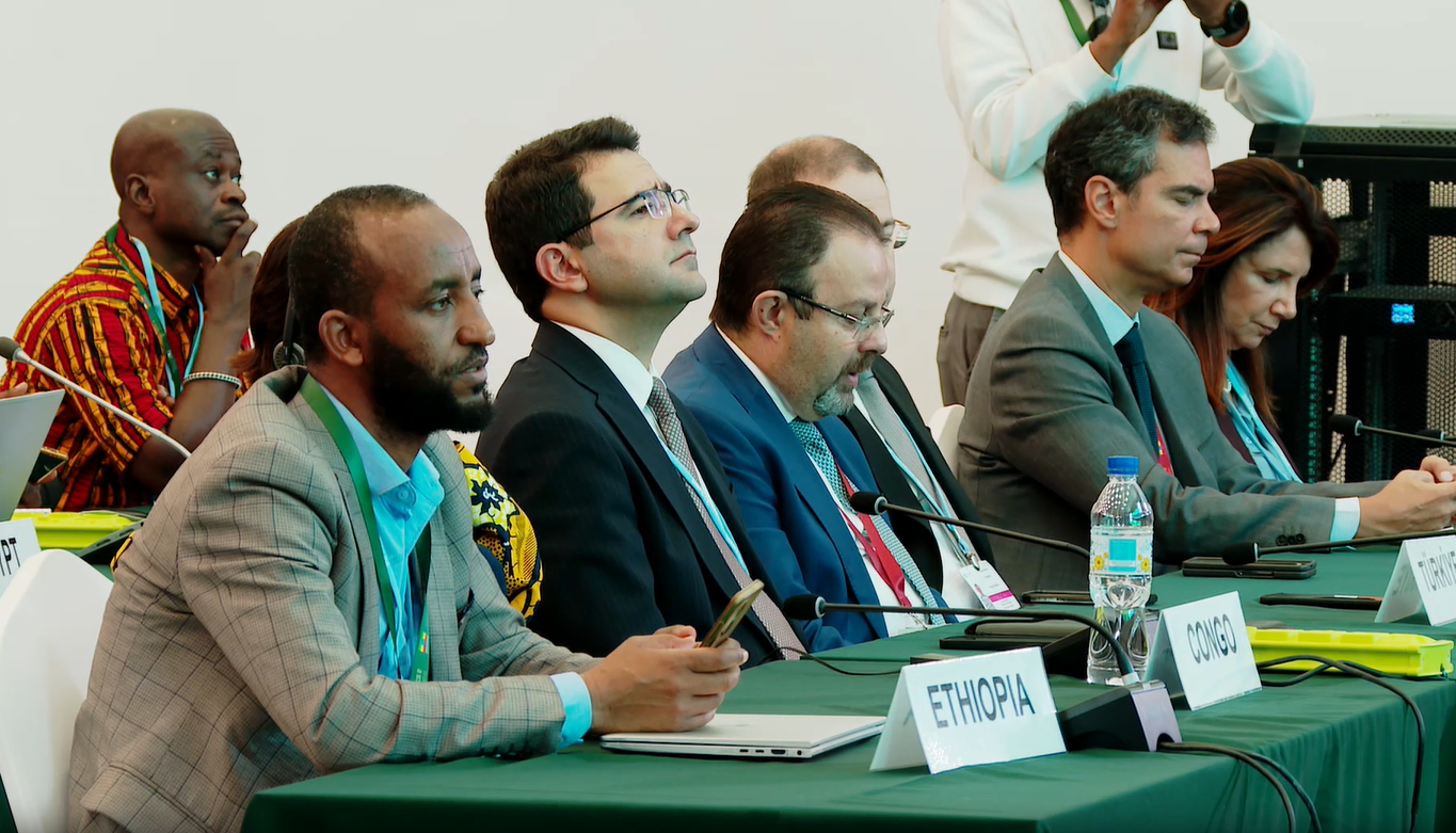Access to Climate Finance Remains Priority for Africa: Planning & Dev't ...