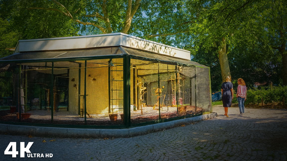 Wandeling door het Stadspark in Maastricht, Nederland (4K)