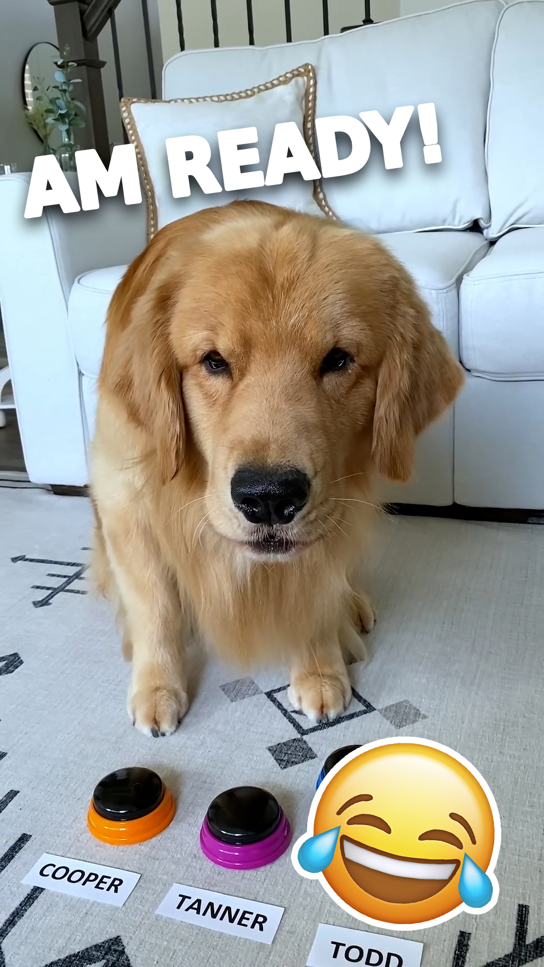 Dog Chooses a Name for His Puppy