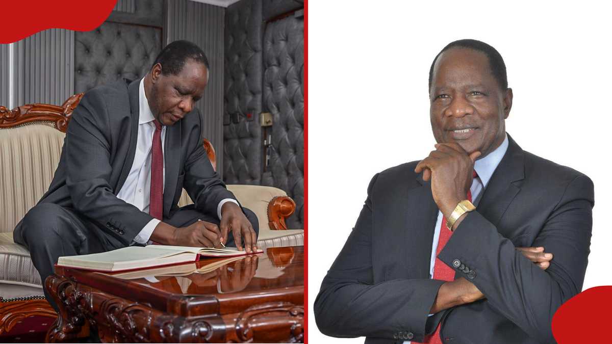 Dalmas Otieno: Former Rongo MP and powerful cabinet minister is dead