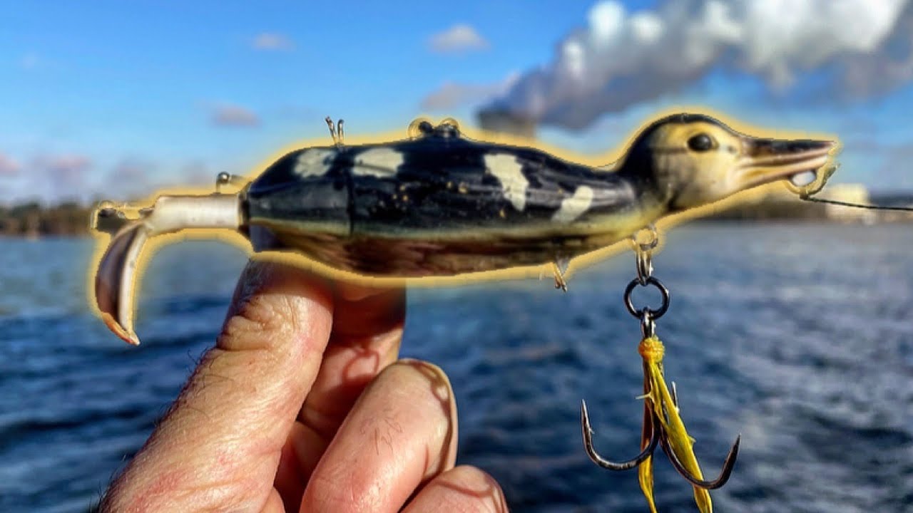 Fishing duck lure catches river monsters successfully