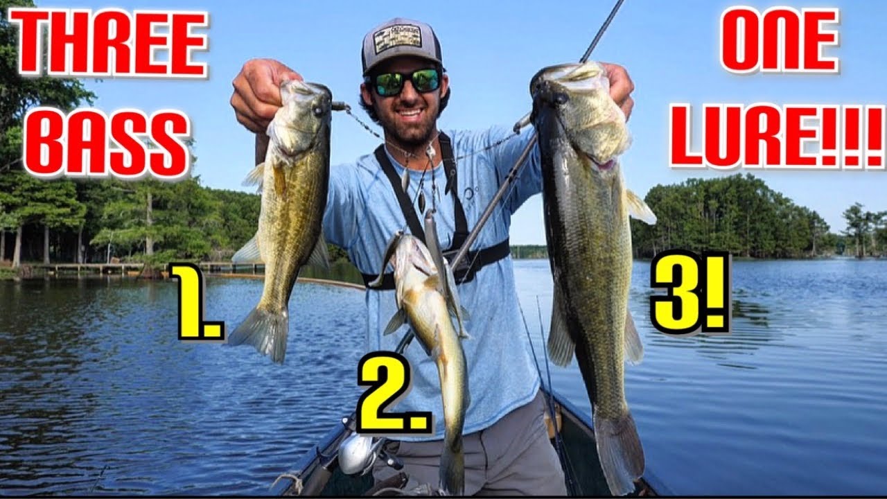 Epic fish catch escalates with three bass on one cast
