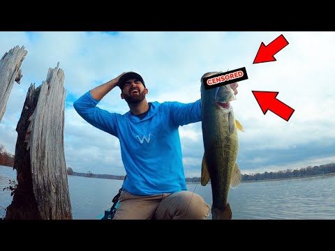 New lure produces record-smashing fishing results outdoors