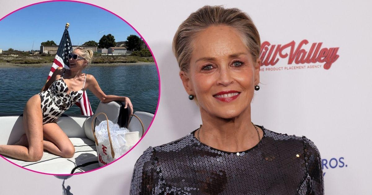 Sharon Stone, 67, Shows Off Her Bikini Body and Long Legs in Animal ...
