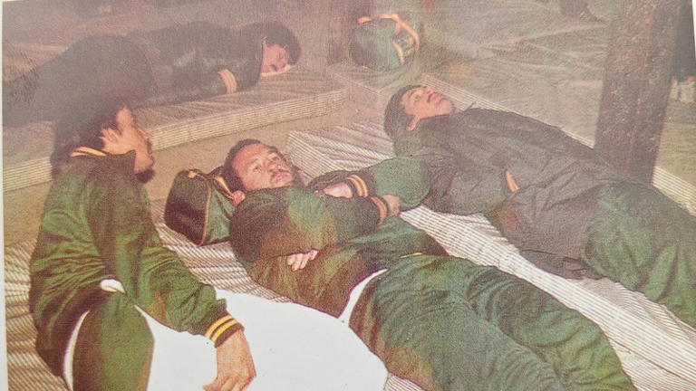 Memories of the 1981 Springboks of New Zealand Tour: When Test rugby ...