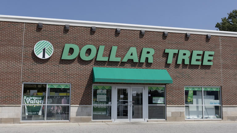 5 Surprisingly High-End Items You Can Score at Dollar Tree Right Now