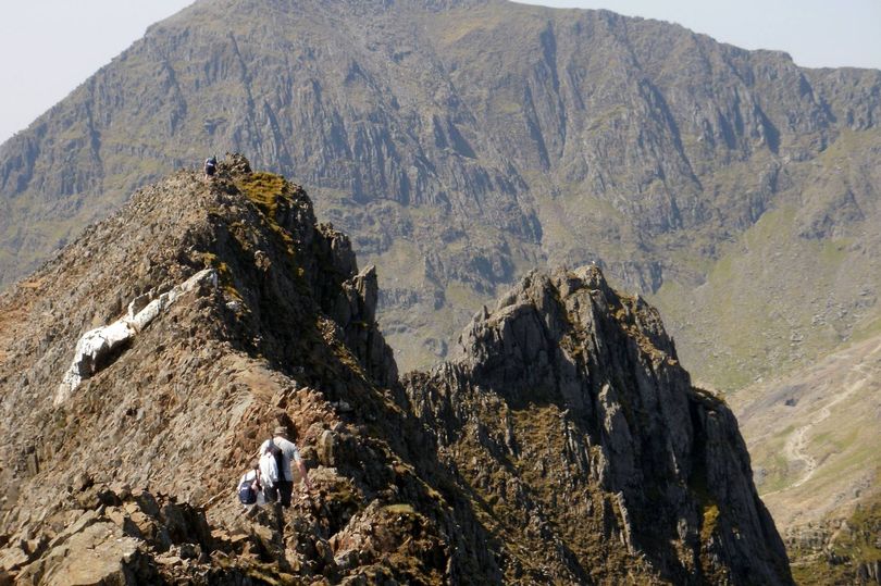 Criticism as people take dogs to razor-sharp mountain ridge 3,650ft up