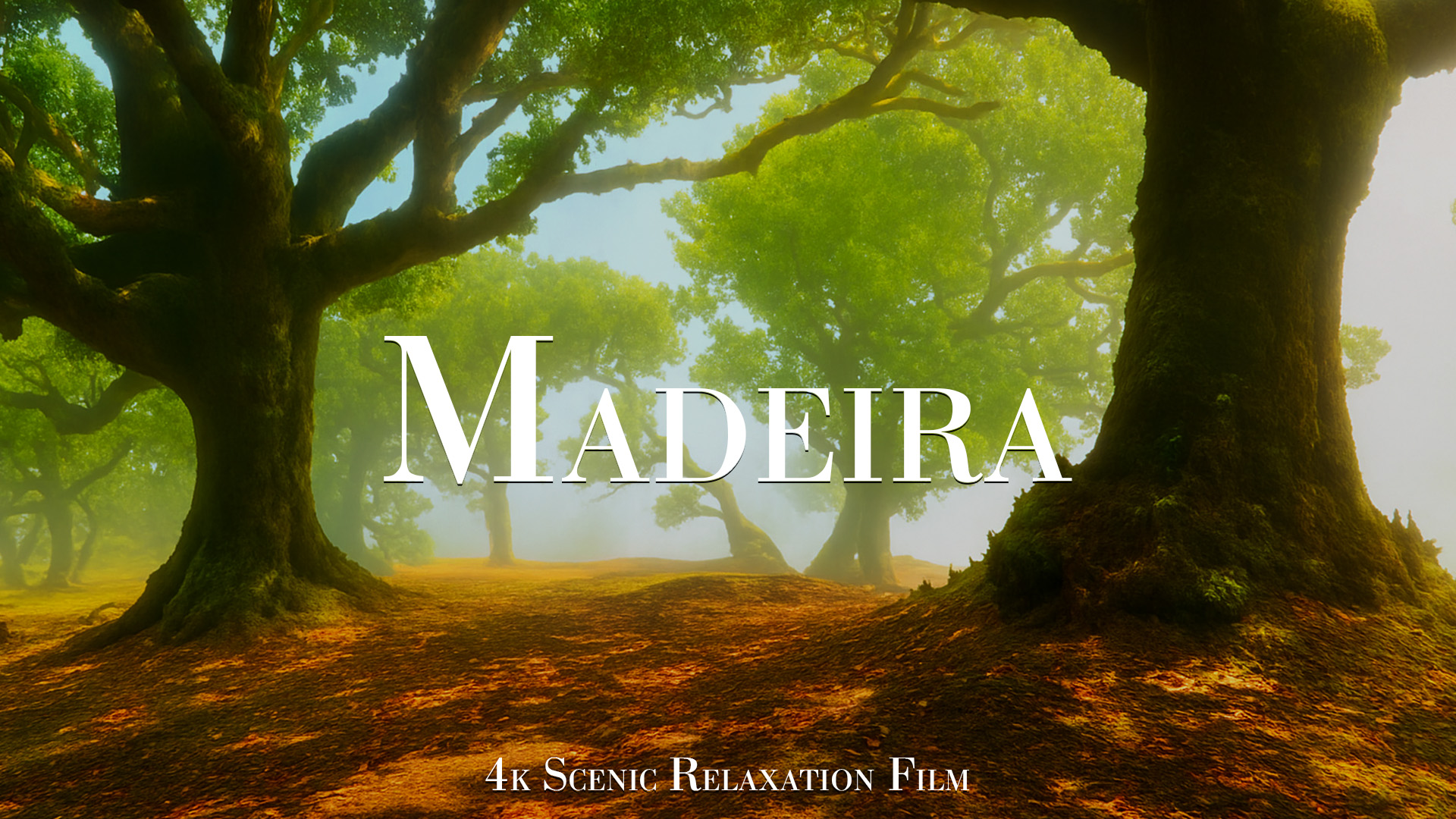 Letting the Land Tell Its Story – Fanal Cloud Forest and Ponta do Pargo ...