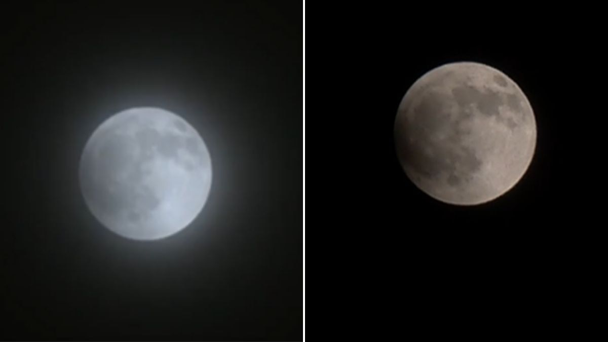 Lunar Eclipse Begins, 'Blood Moon' To Be Visible Tonight — VIDEOS