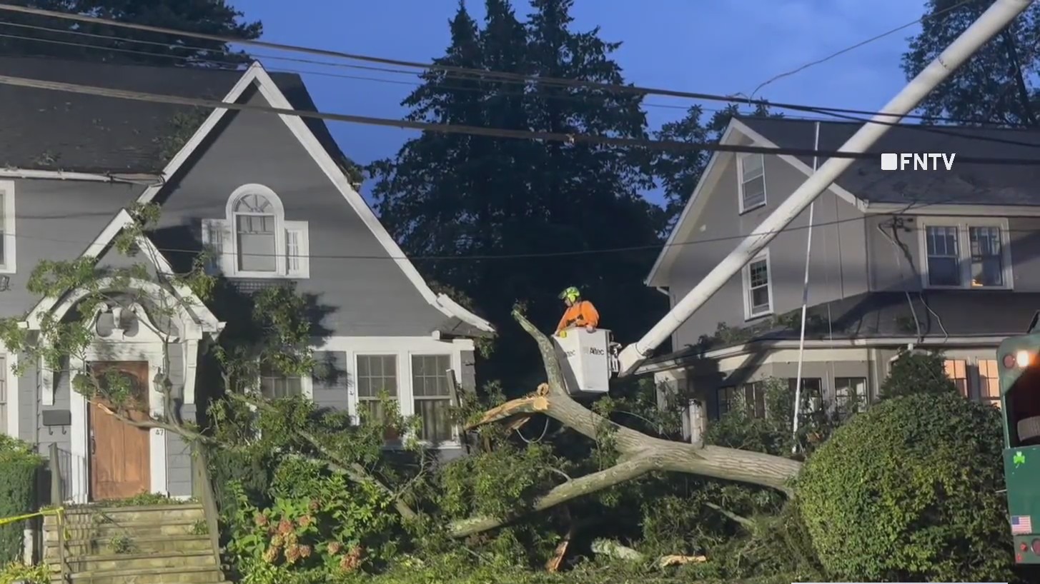 Massive tree falls down during New Jersey rainstorm