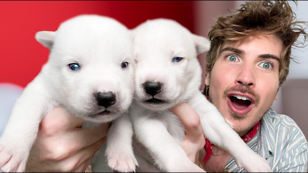 Two tiny babies opened their eyes at the same time