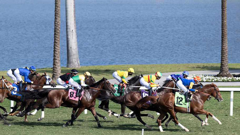 Daily Racing Form's Horse Racing Playbook for Sunday, September 7, 2025