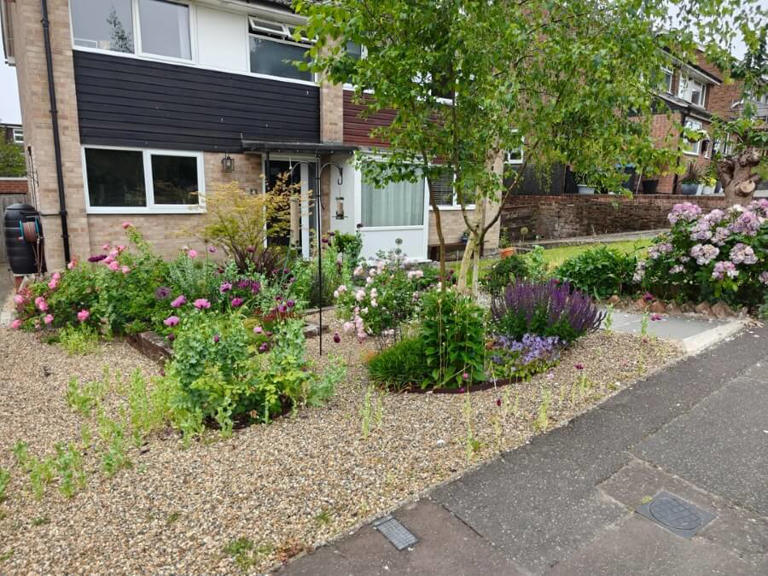 Proud homeowner shares breathtaking before-and-after photos of their ...
