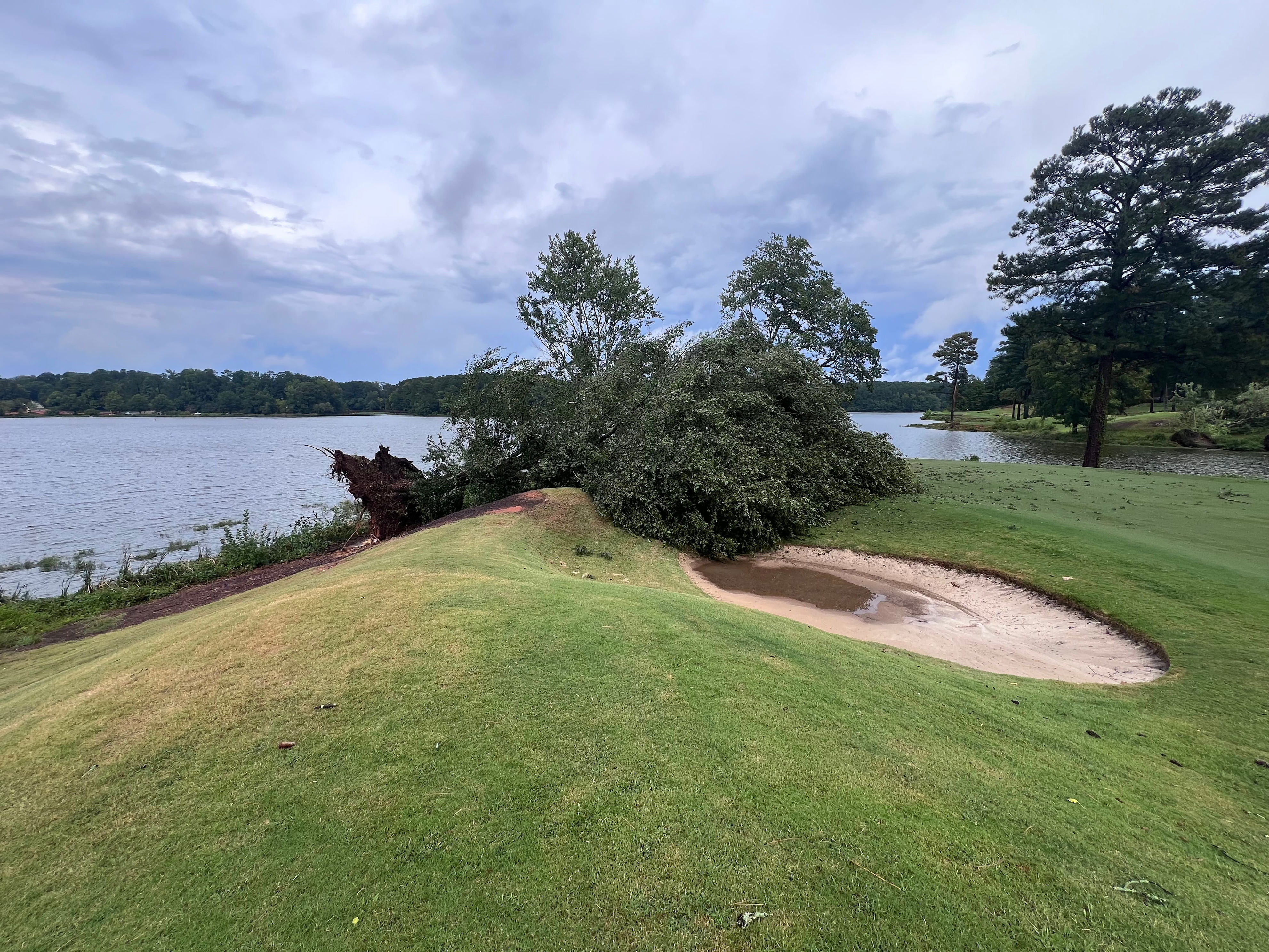 Trees fall at Cobb County golf course during Saturday storms, officials say