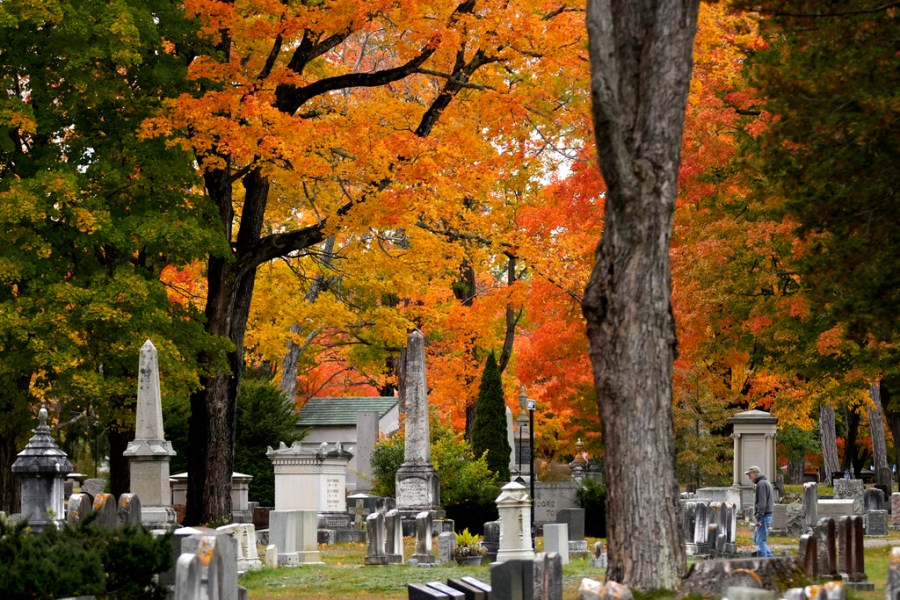 Will Rochester see vibrant or dull fall colors in 2025?