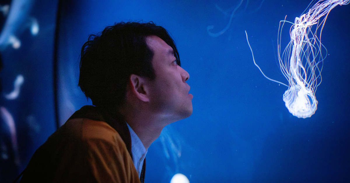 Biologist Stumbles Upon an Incredible Marine Creature That Reverses Its ...