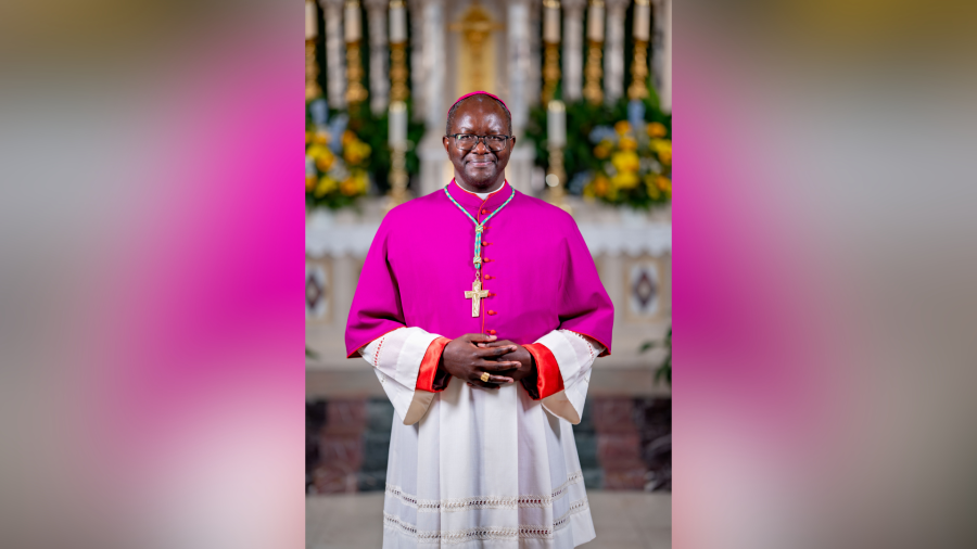 First African Bishop in mainland U.S. ordained in Thibodaux