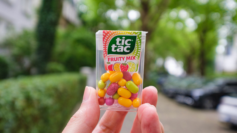 Don't Throw Out Your Tic Tac Boxes — Use Them For Your Plants Instead