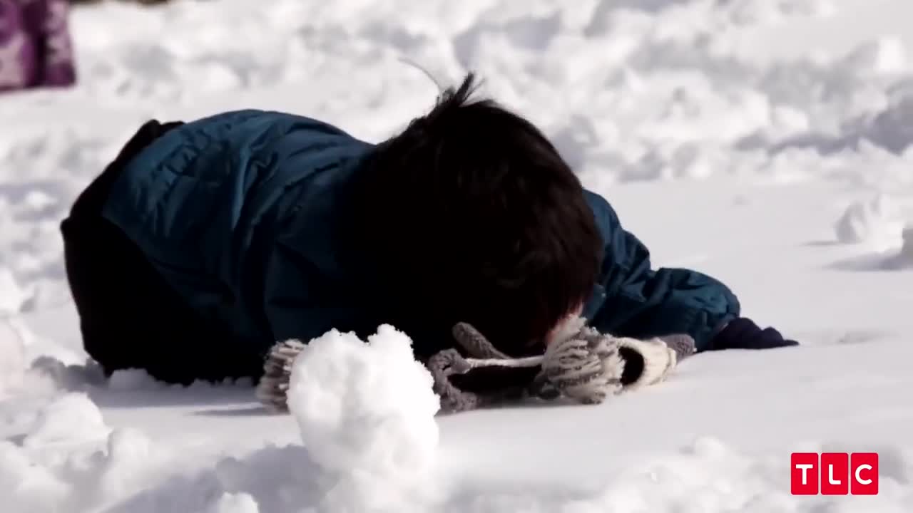 The Truth About The Little Couple's Dr. Jen Arnold