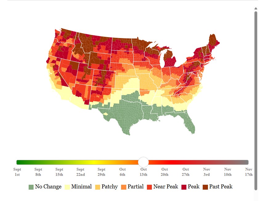 Interactive map: When will fall foliage peak here?