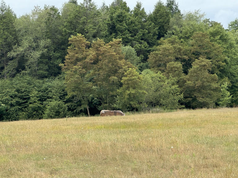 United Flight 93 National Memorial Day trip itinerary