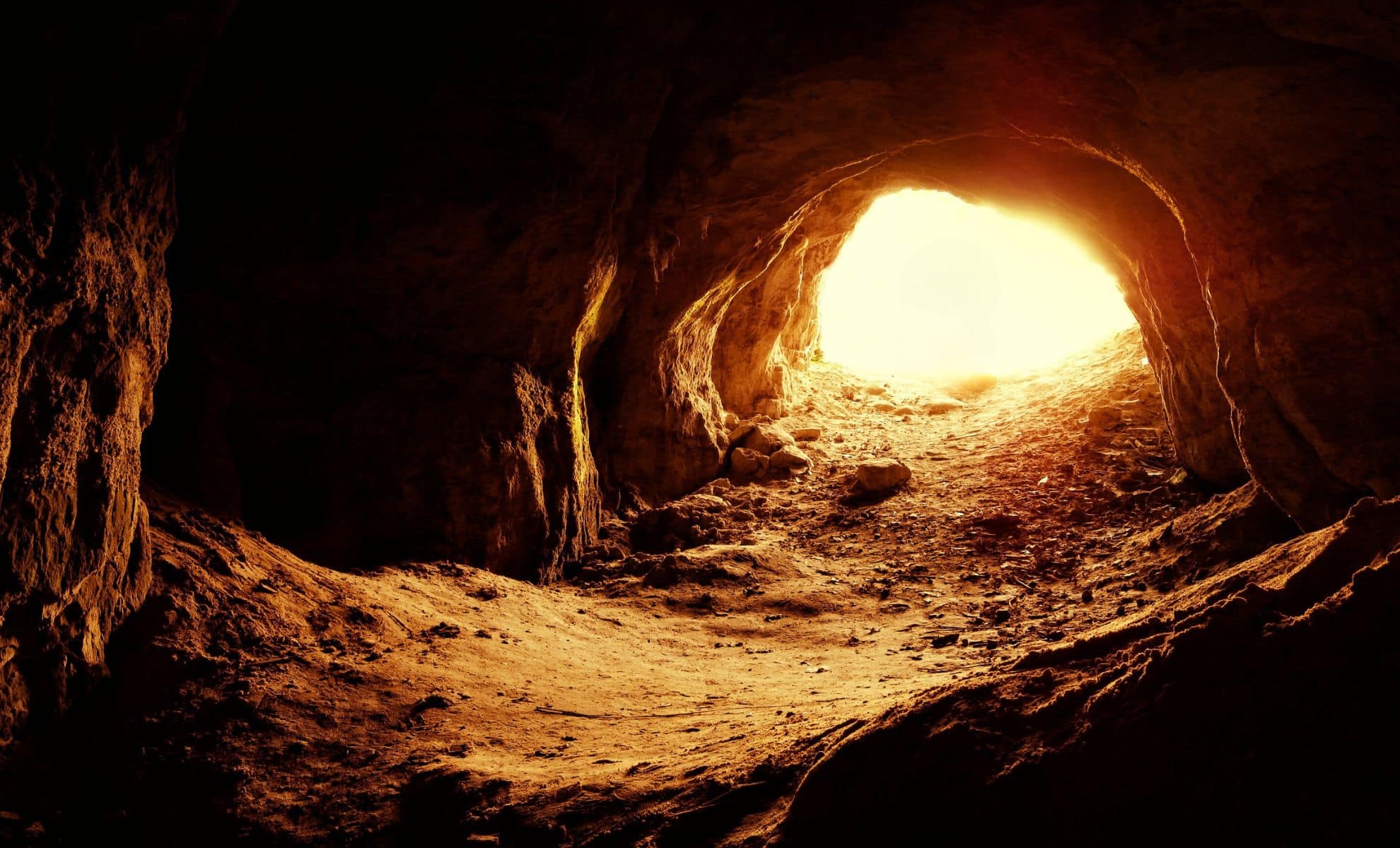 Scientists Unearth Giant Underground Tunnels—And They Weren’t Built By ...