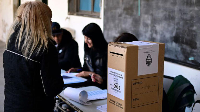 Resultados De Las Elecciones 2025 Qué Es La Encuesta De Boca De Urna Y 4878