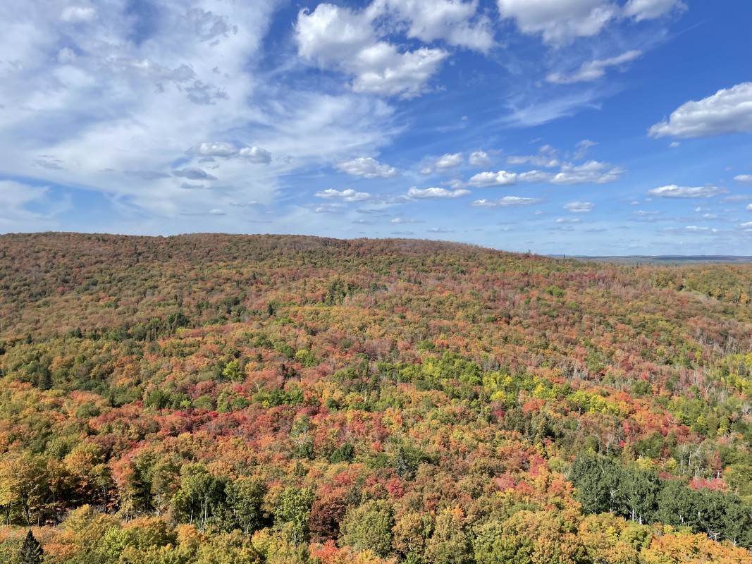Sven Sundgaard: Why a warmer autumn is the new normal in Minnesota