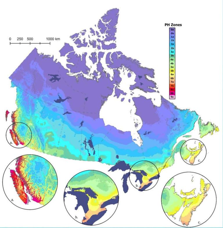 P.E.I. gardeners, take note: Your plant hardiness zone may have changed