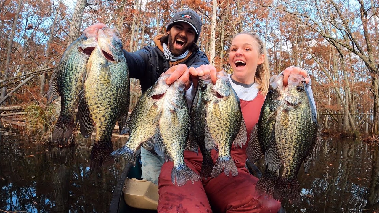 Slab crappie go crazy in intense swamp fishing slugfest