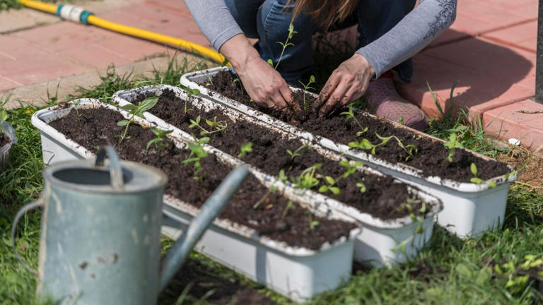 Create a French potager garden in small spaces