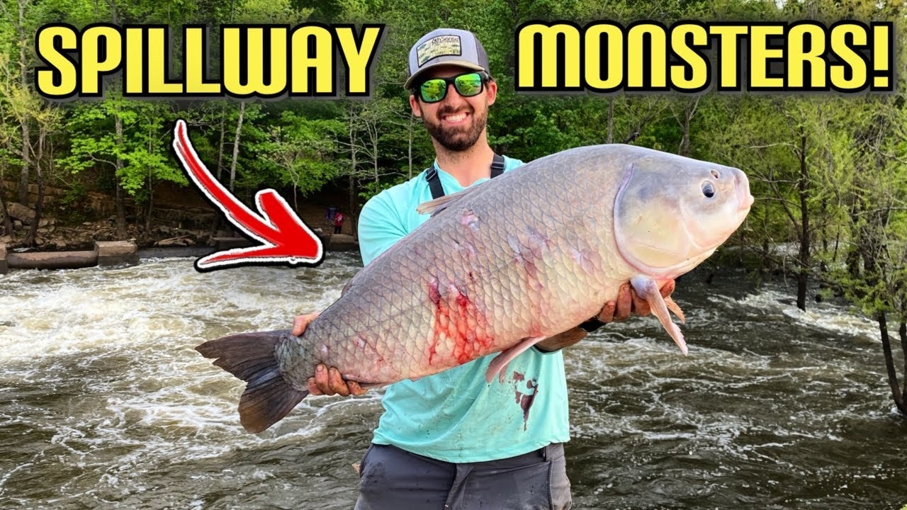 Massive Spillway Fish Caught and Shared for Dinner