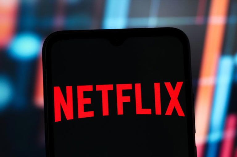 All the Netflix shows canceled after one season in 2025 including The ...