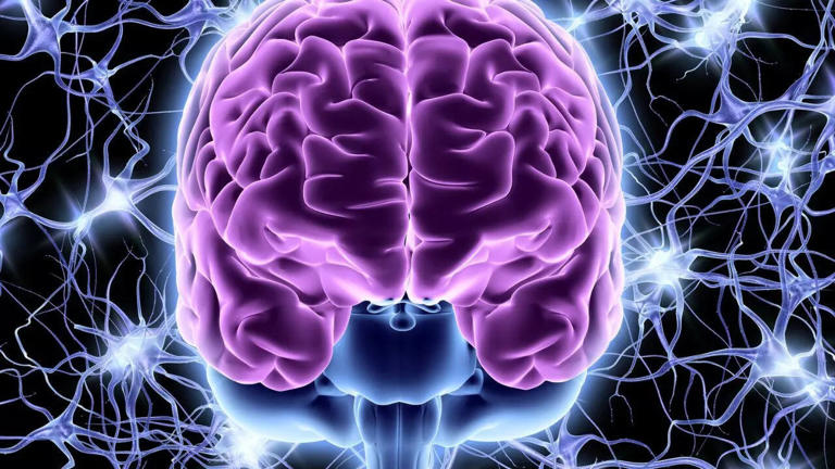 Neuroscientist reveals the best exercise for growing new brain cells