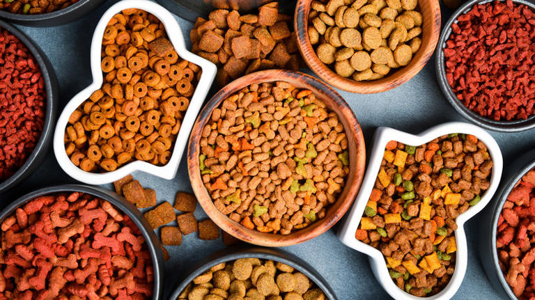 Dry Dog Food Hasn't Been Around As Long As You Might Think