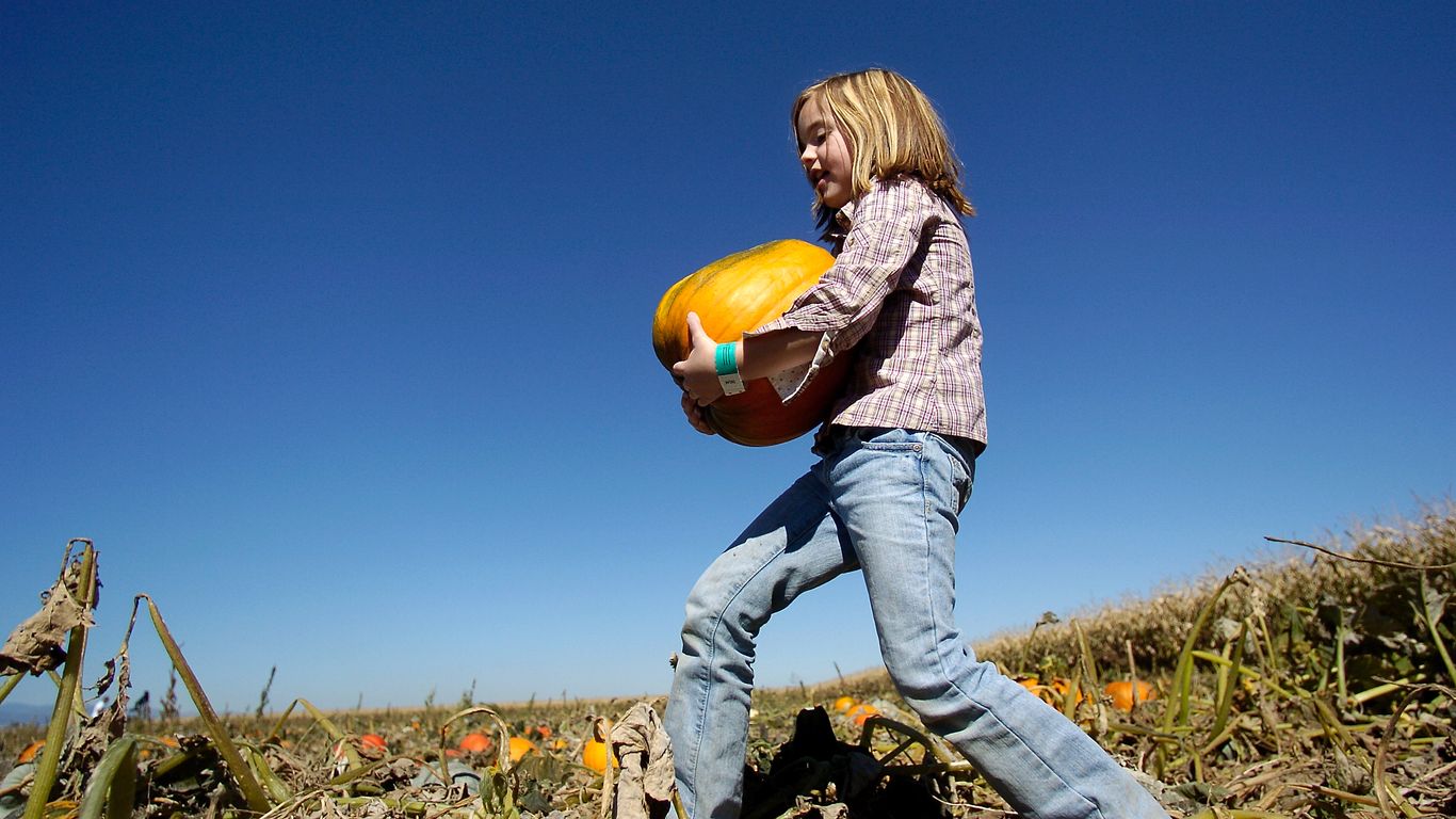 Don't miss these 8 fun fall activities in Colorado