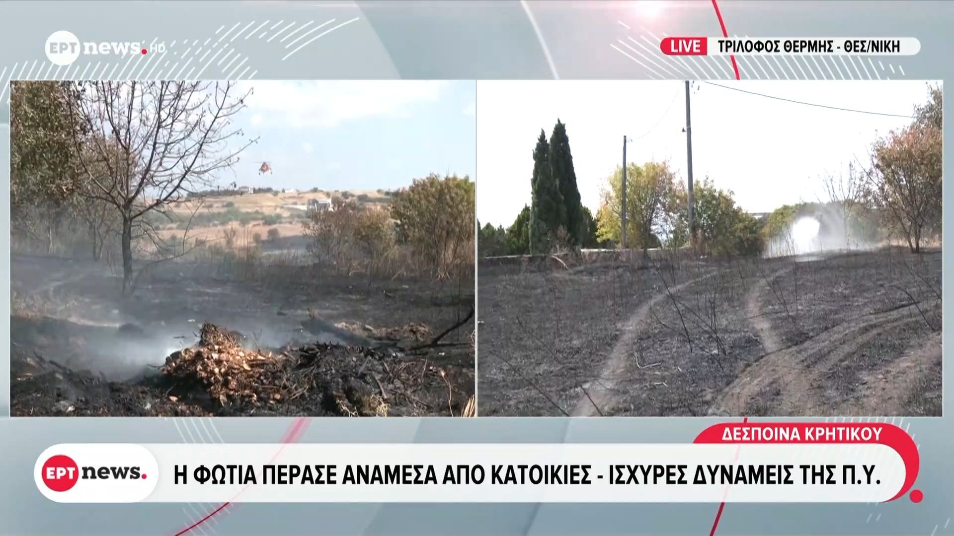 Η φωτιά πέρασε ανάμεσα από κατοικίες – Ισχυρές δυνάμεις της Π.Υ.