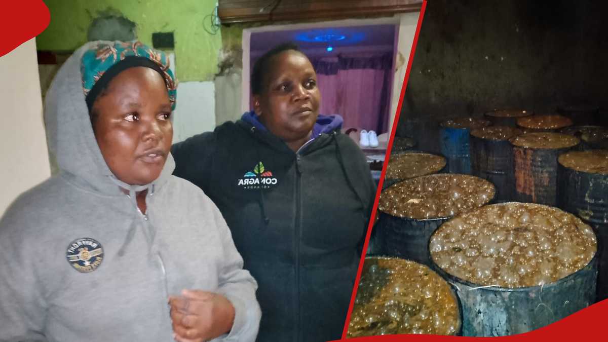 NACADA strikes major blow to Nairobi’s illicit brew cartels in ...
