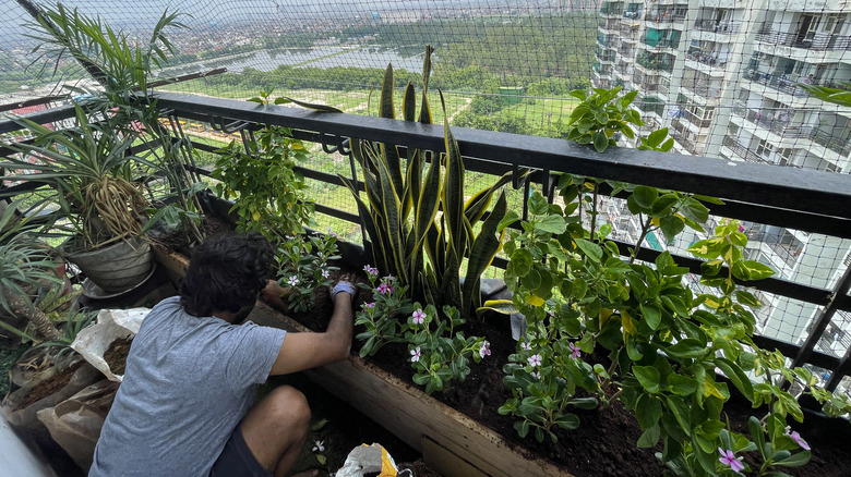13 Balcony Privacy Screen Ideas That Also Add Style To Your Outdoor Space