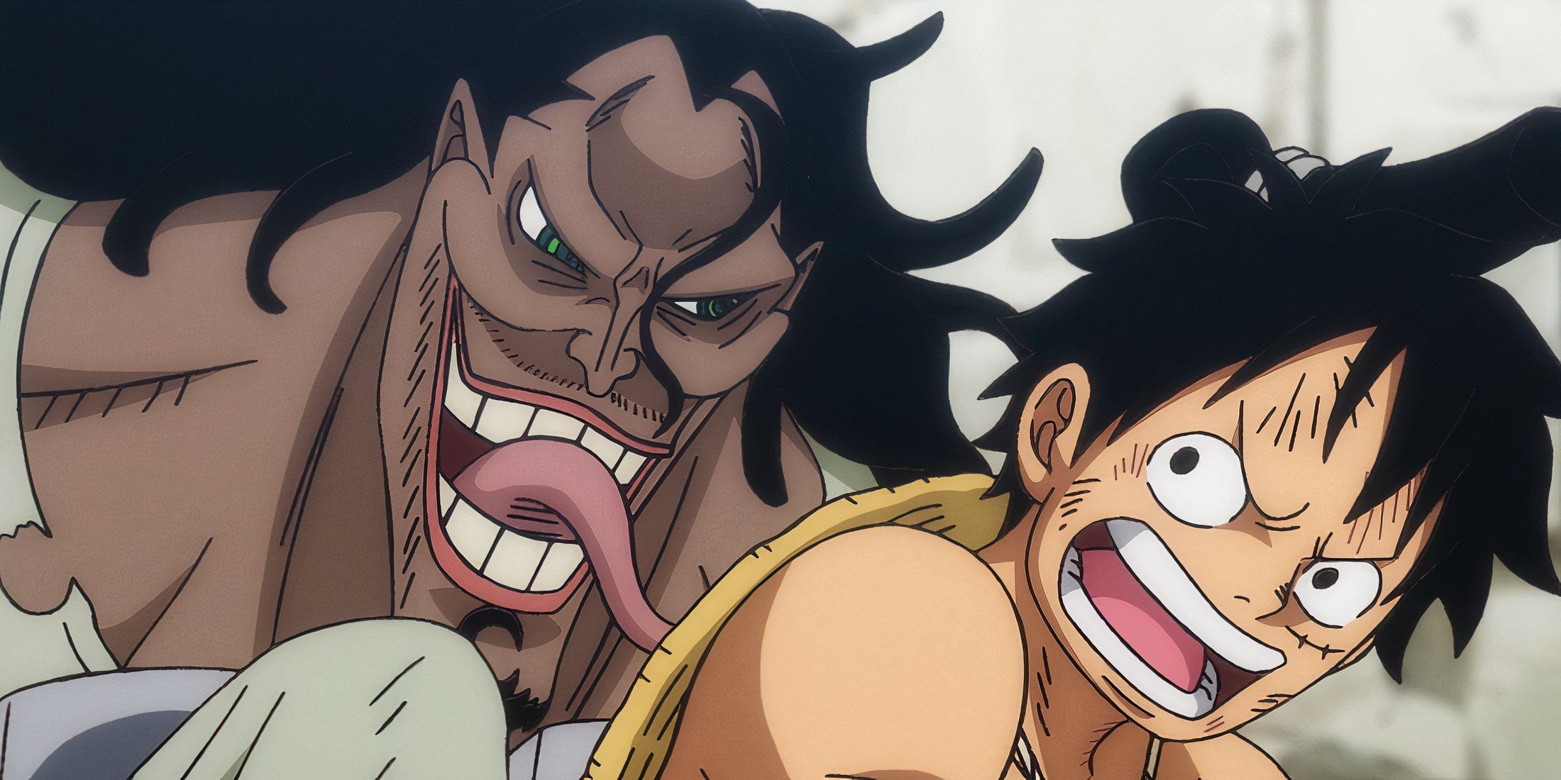 Characters Who Had Too Much Screentime In One Piece