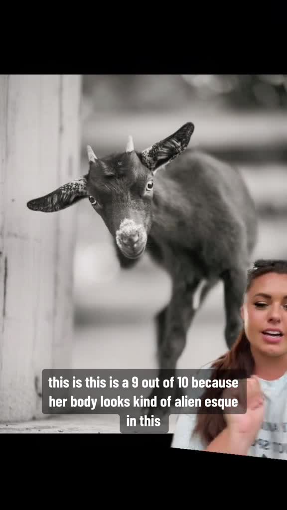 Goat Photo Shoot: Hilarious Ratings & Behind-the-Scenes Moments