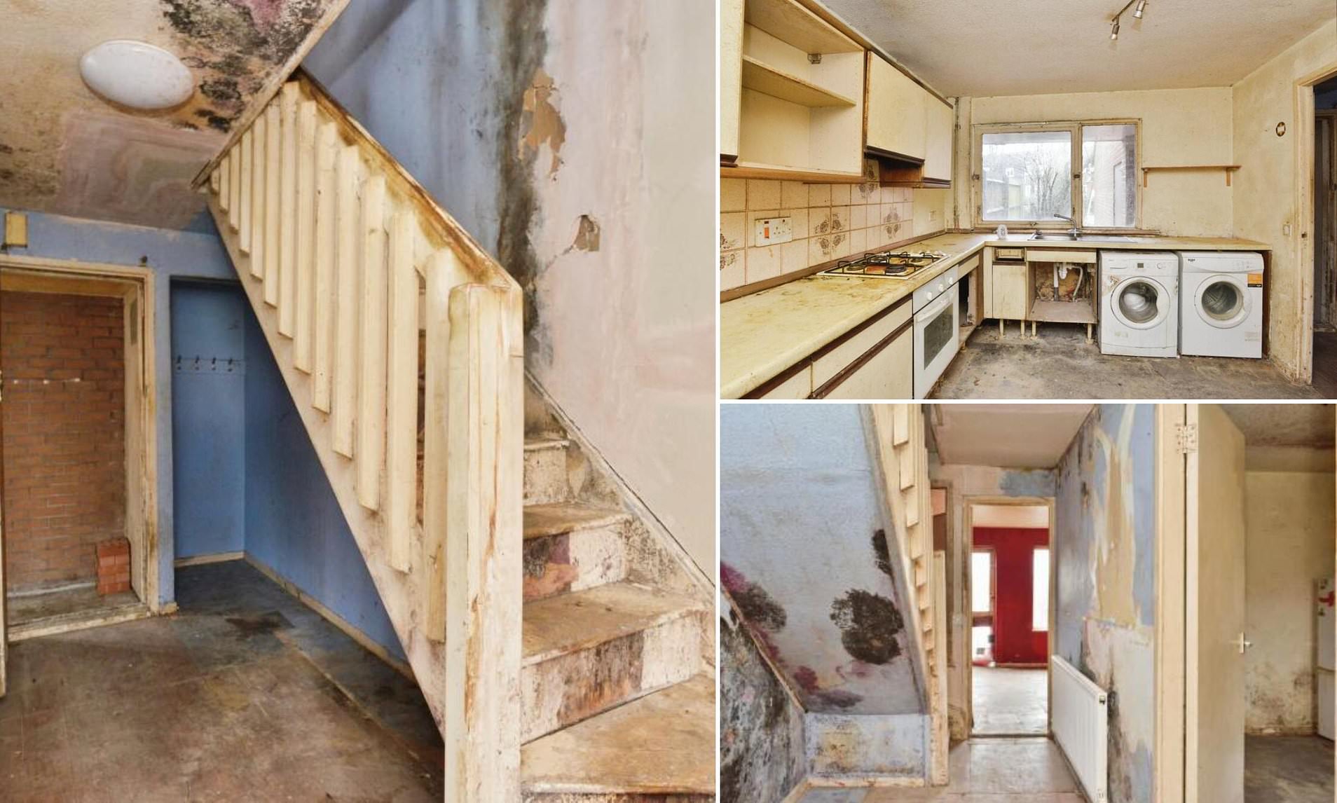 Internet trolls slam price of 'UK's worst house' riddled with mould on ...