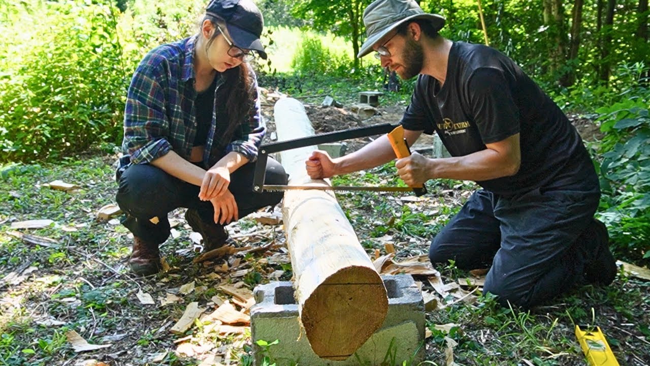 Starting a new project! Felling and milling cedar logs by hand | Cedar ...